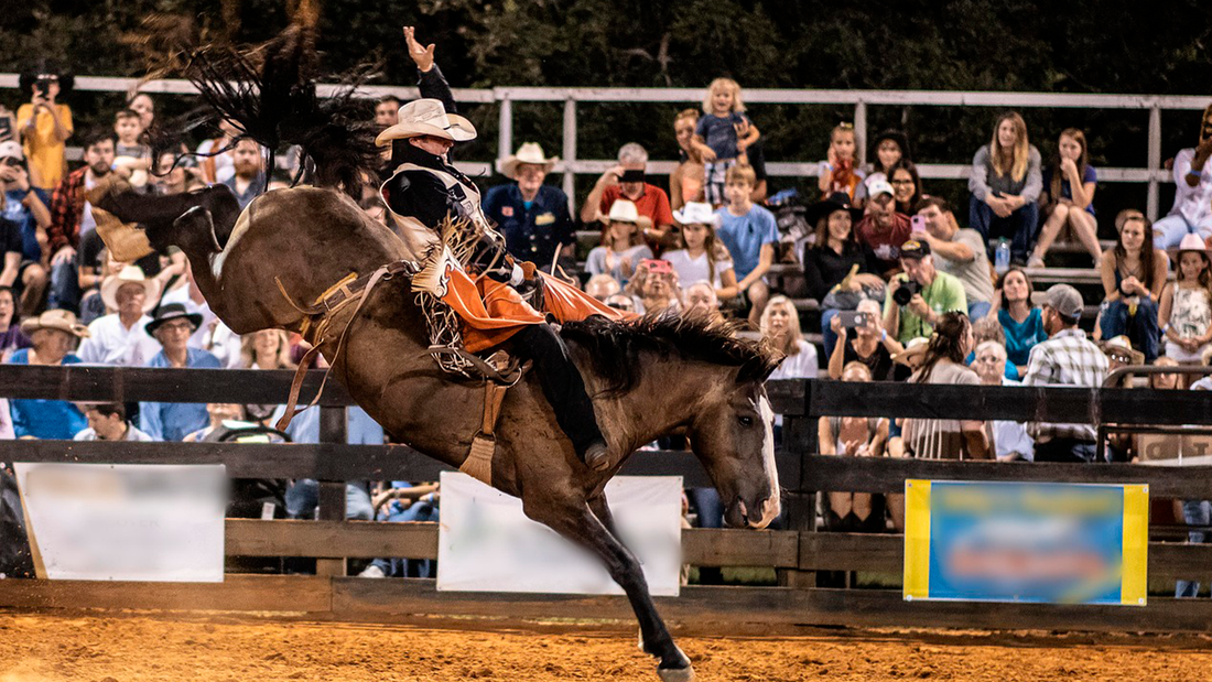 Beginner’s Guide to Rodeo: What You Need & How to Get Started